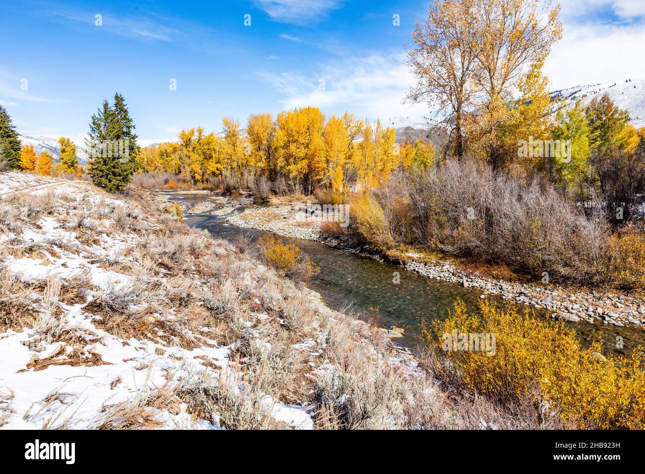 USA, Idaho, Ketchum, Fall foliage in mountains near Sun Valley Stock ...