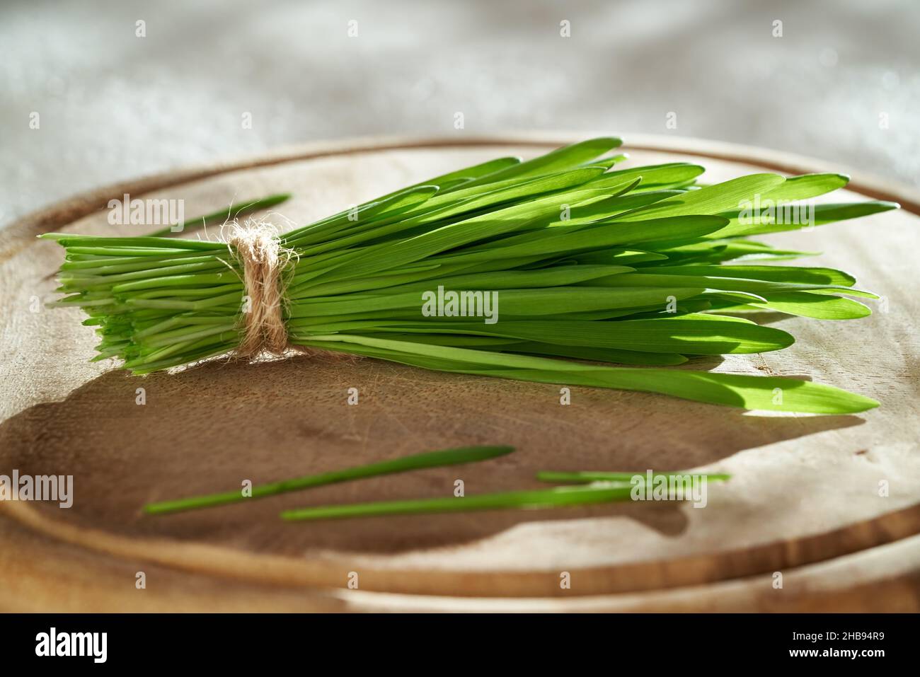 A bundle of fresh green barley grass on a table in sunlight Stock Photo ...