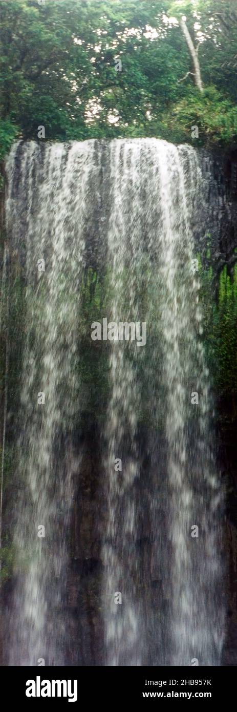 The Millaa Millaa Falls in the Atherton Tablelands, Queensland taken in ...
