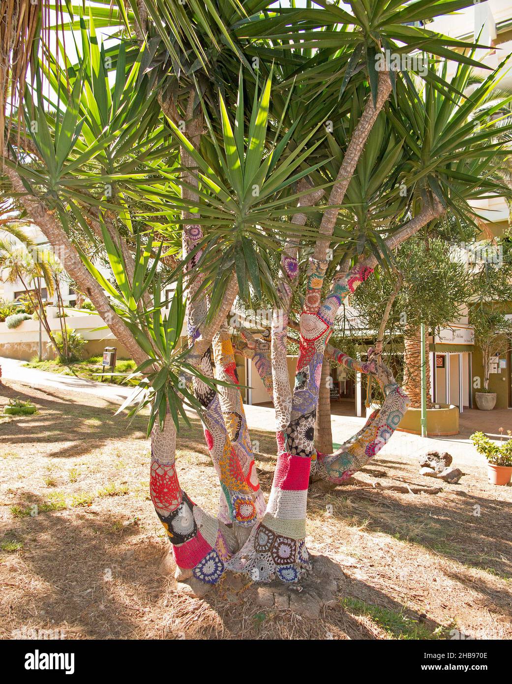 Live tree trunks covered with colorful woven nets at Calle Maria del ...