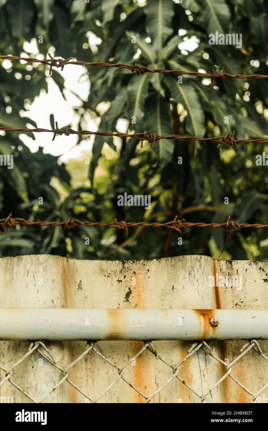 Vertical closeup shot of barbed wire and a rusty fence in a park Stock ...