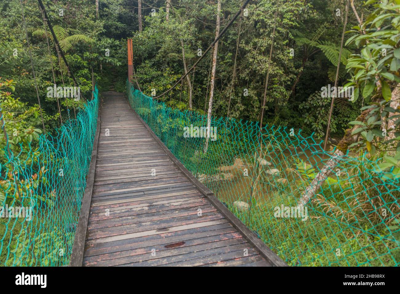 Hanging foot bridge near Taman Rata town in the Cameron Highlands ...