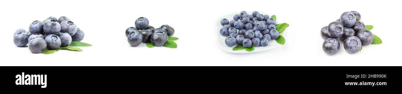 Group of blueberry isolated on a white background cutout Stock Photo ...