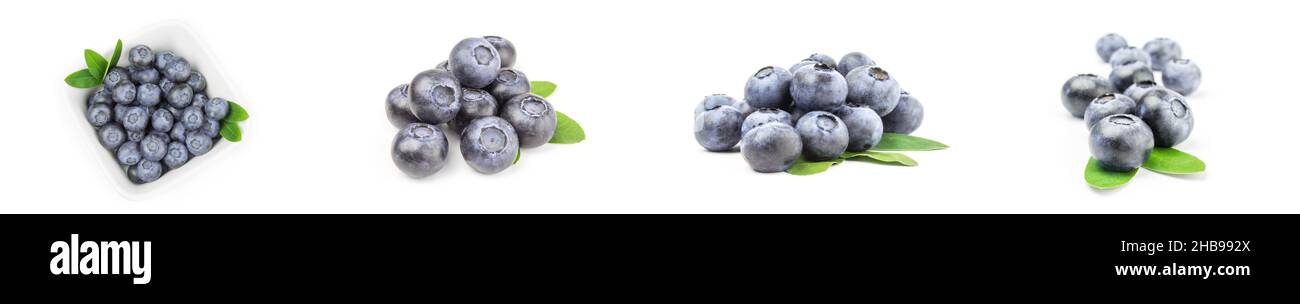 Collage of blueberry isolated on a white background Stock Photo - Alamy