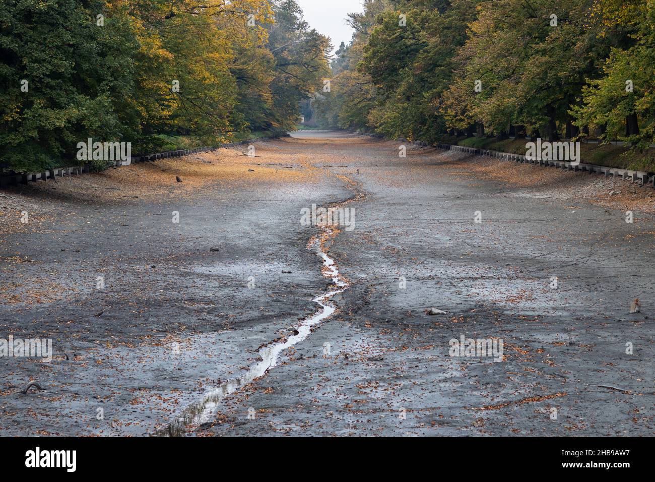 Dry river at autumn season. Impacts of climate change. Drought during ...