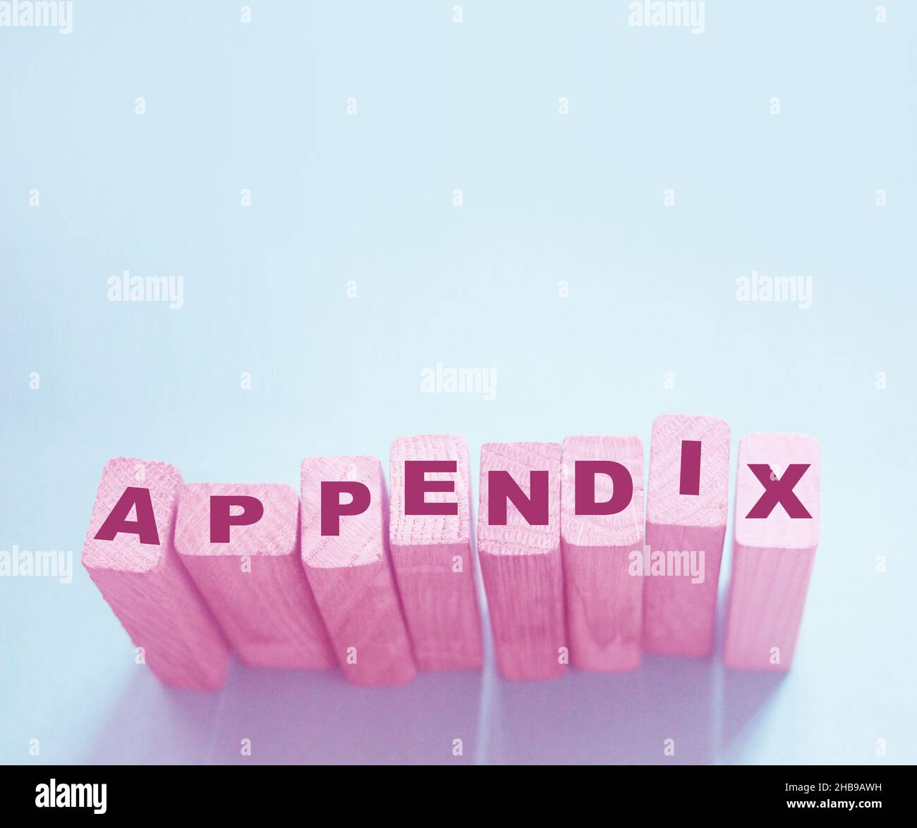 appendix word written on wood block. appendix text on table, concept ...