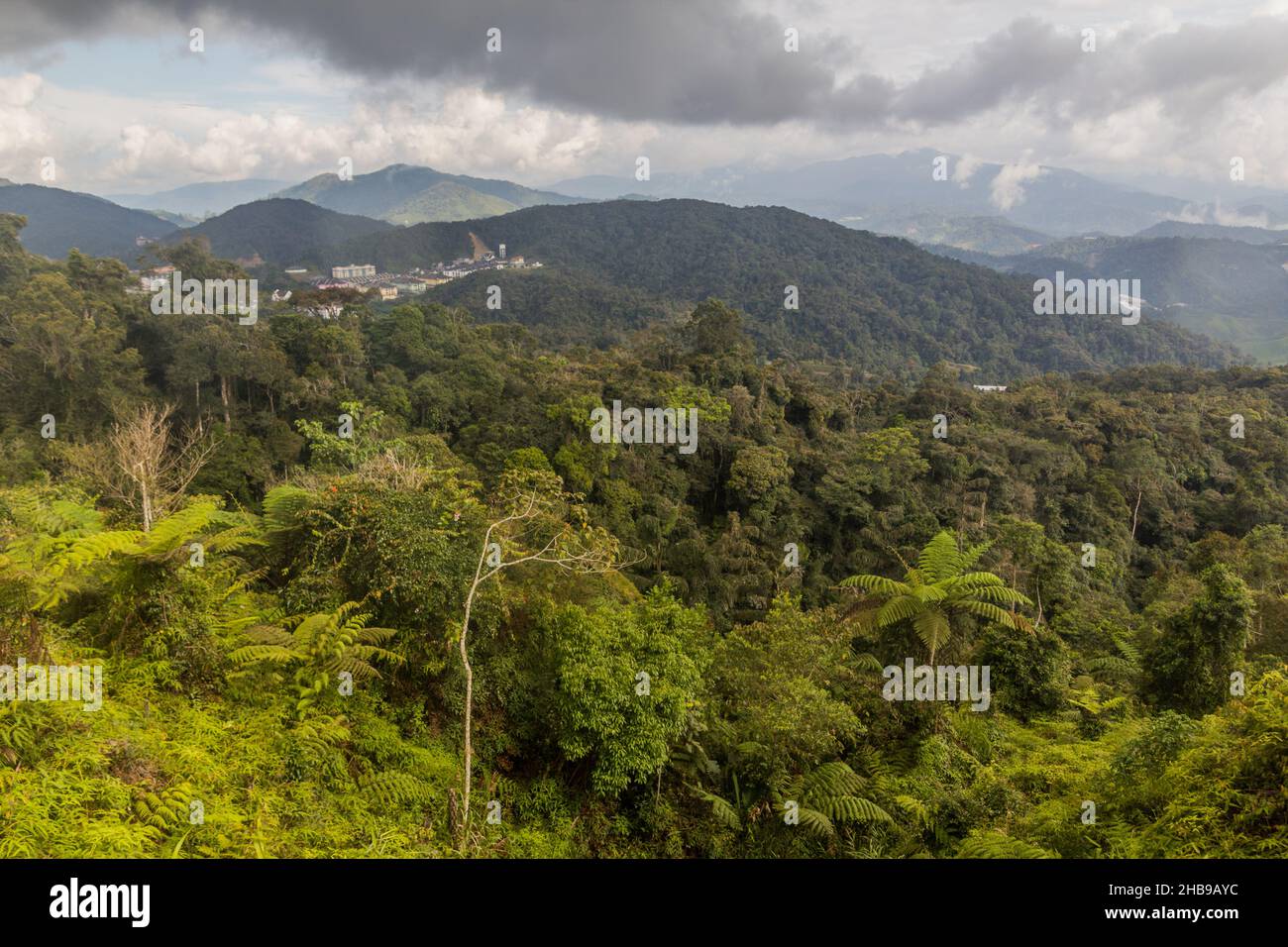 Landscape of the Cameron Highlands, Malaysia Stock Photo - Alamy