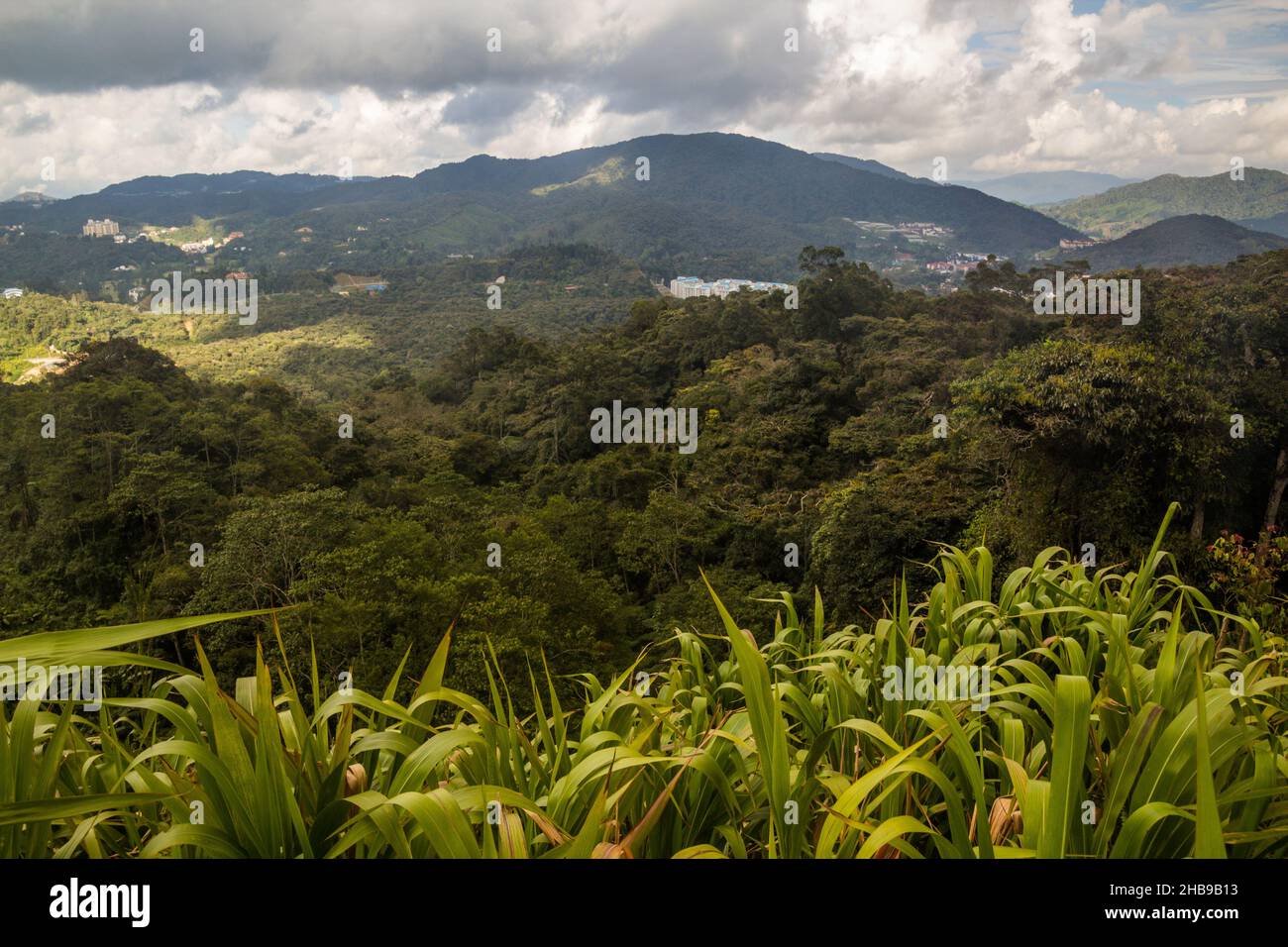 Landscape of the Cameron Highlands, Malaysia Stock Photo - Alamy