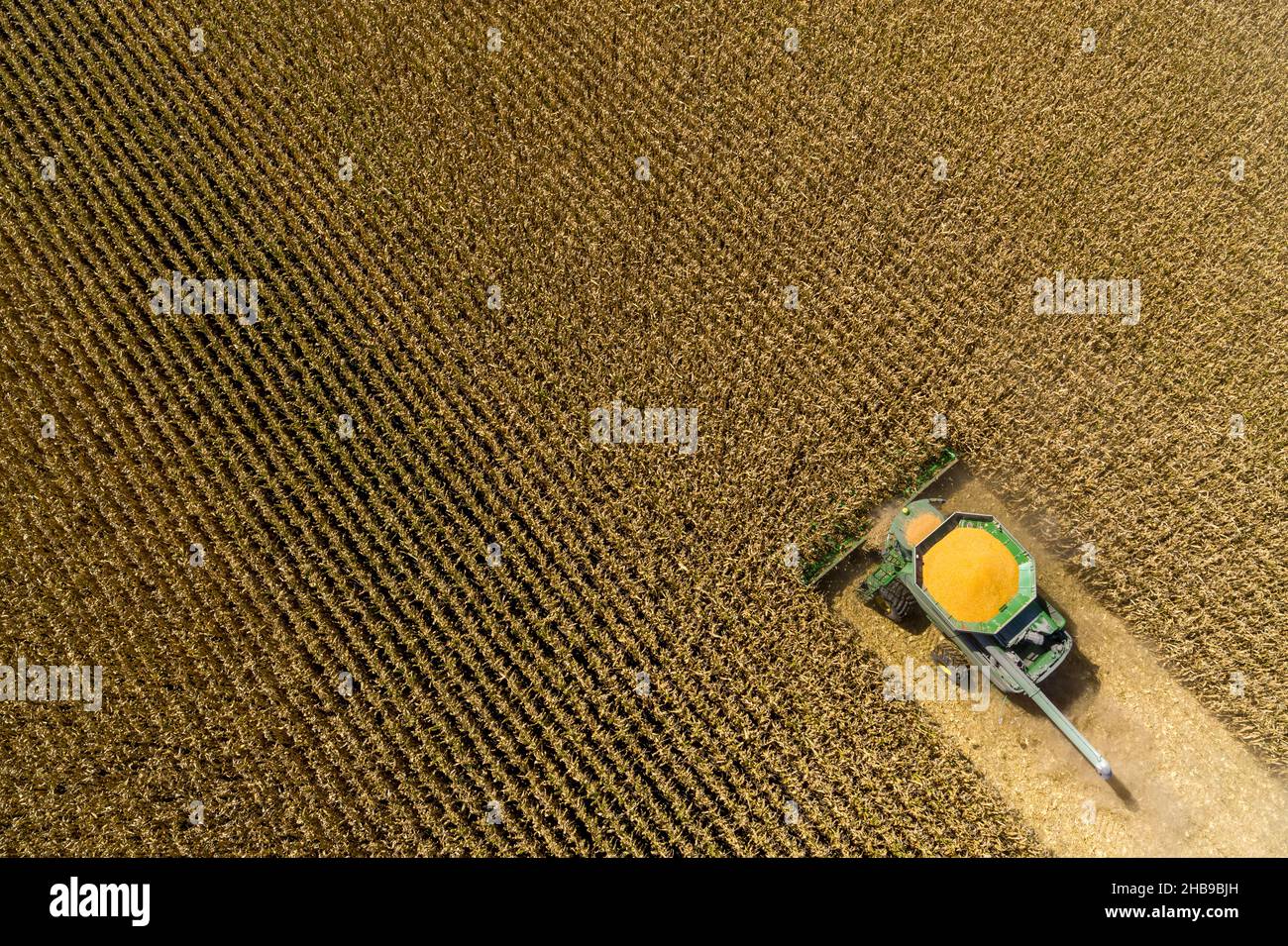 Aerial field corn midwest hi-res stock photography and images - Alamy