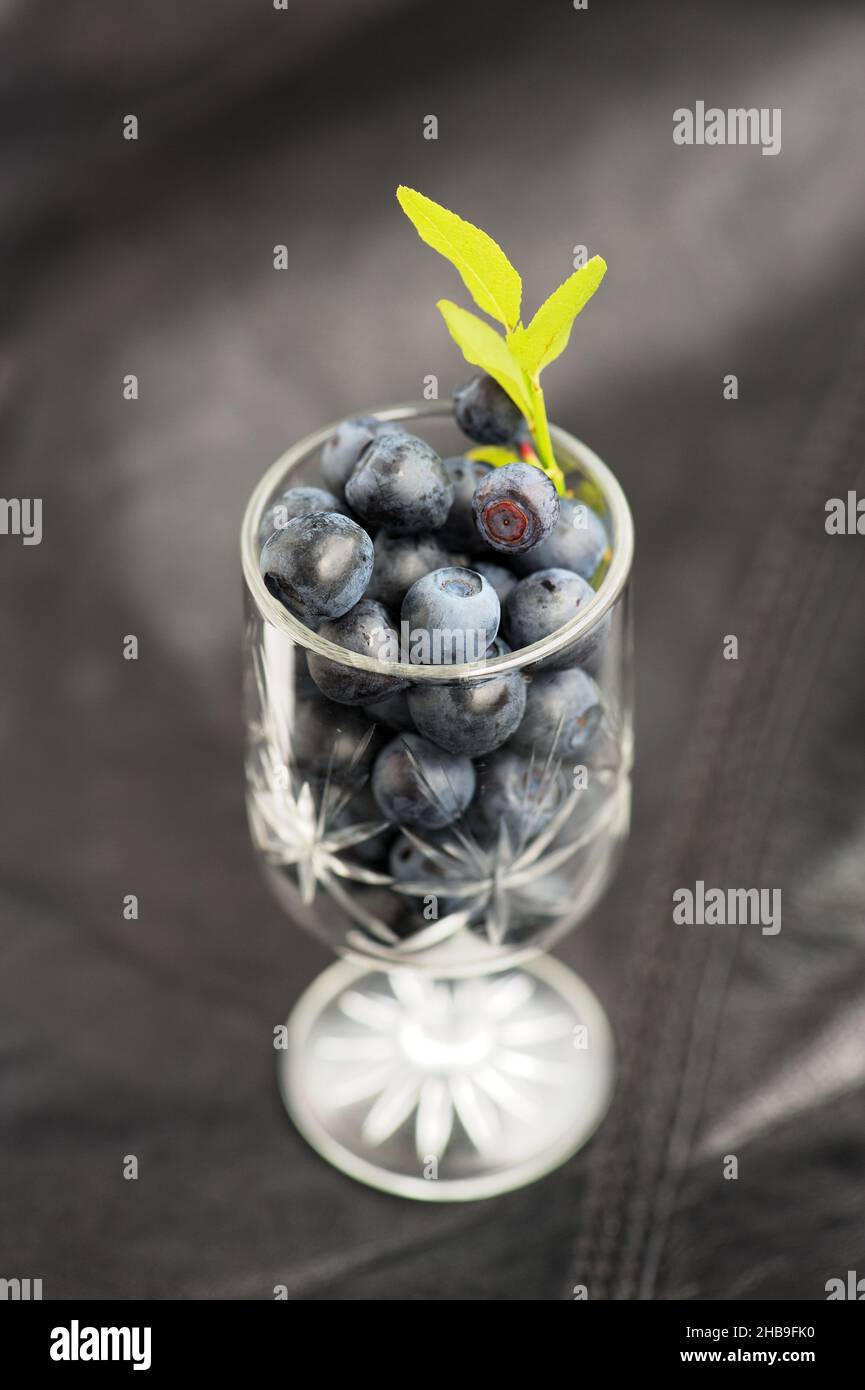Wild blueberries with fresh green leaves in small wineglass on black ...
