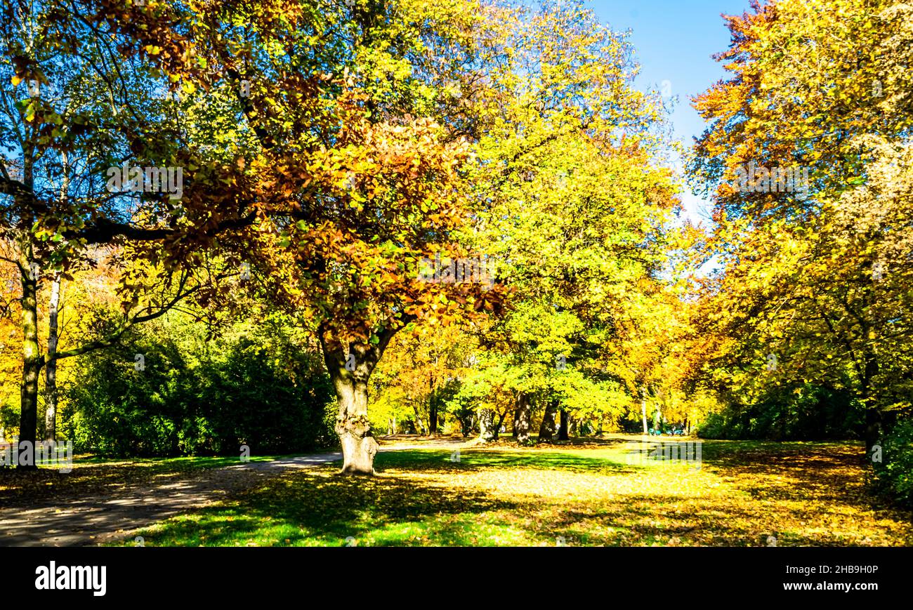 English fall foliage hi-res stock photography and images - Alamy