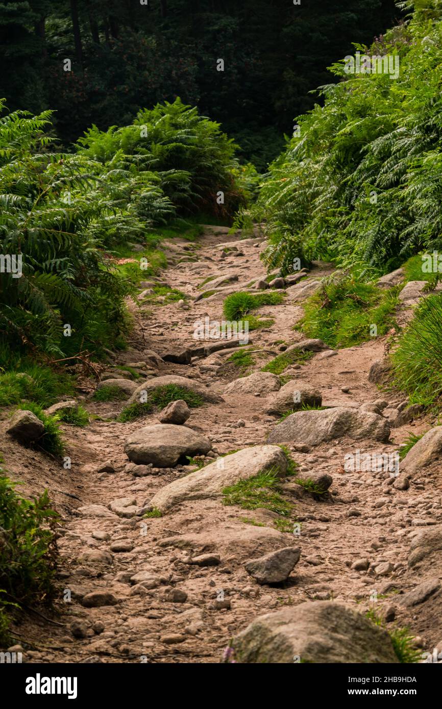 Rocky path leading up mountain hi-res stock photography and images - Alamy