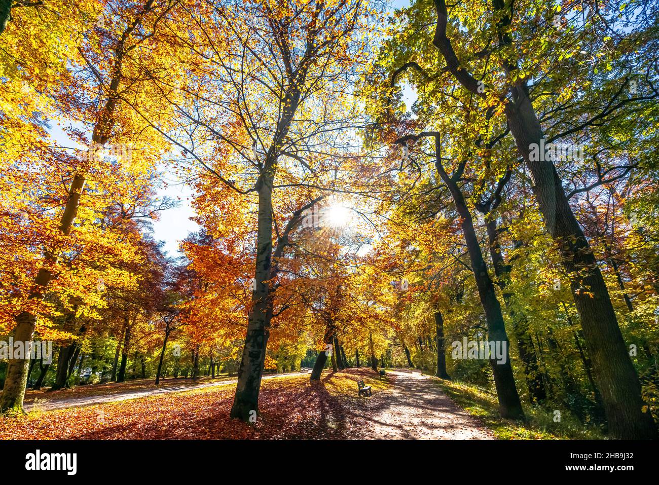 See fall foliage germany hi-res stock photography and images - Alamy