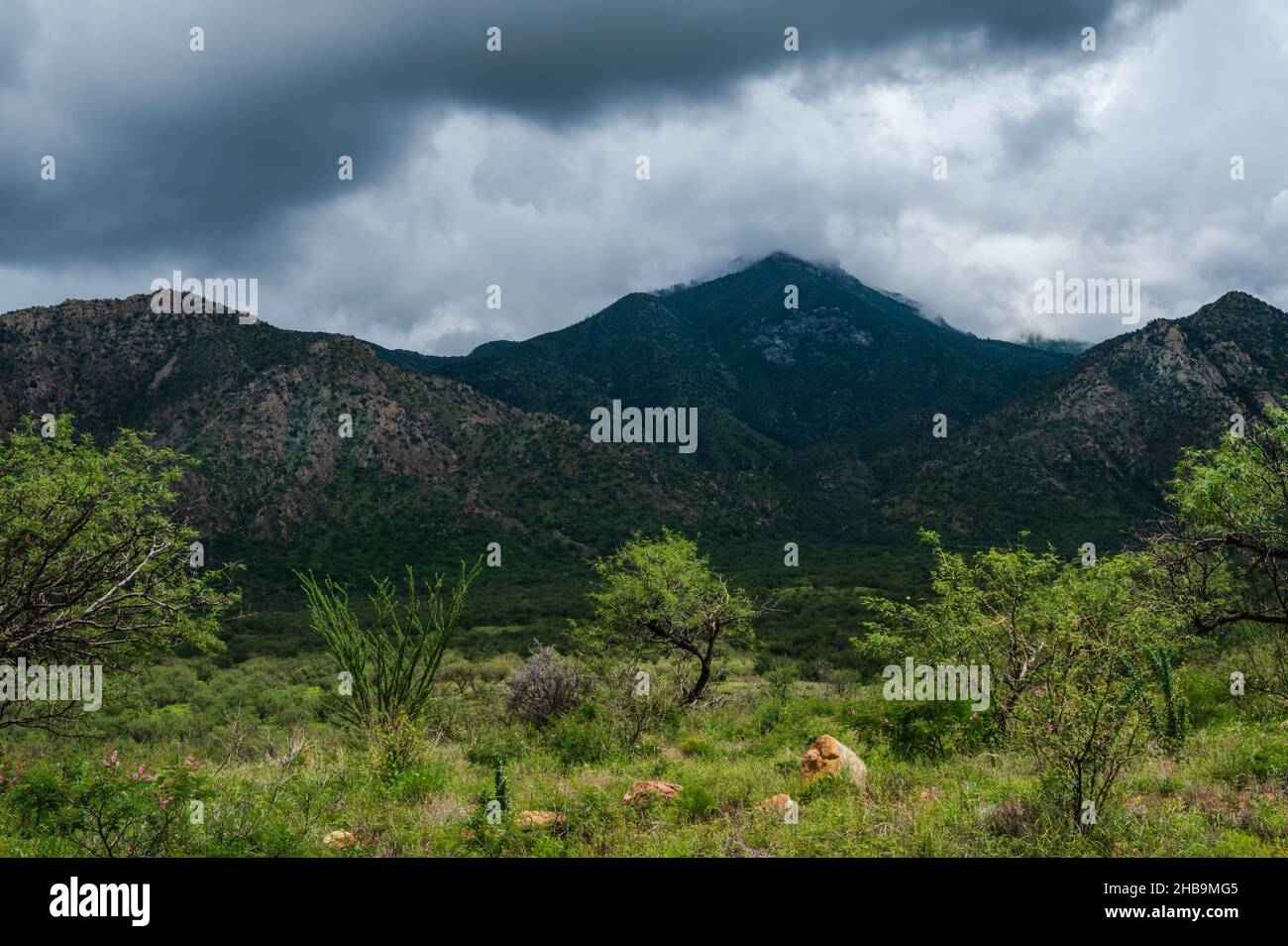 Santa Rita mountains shrouded in dark cloud cover Stock Photo - Alamy