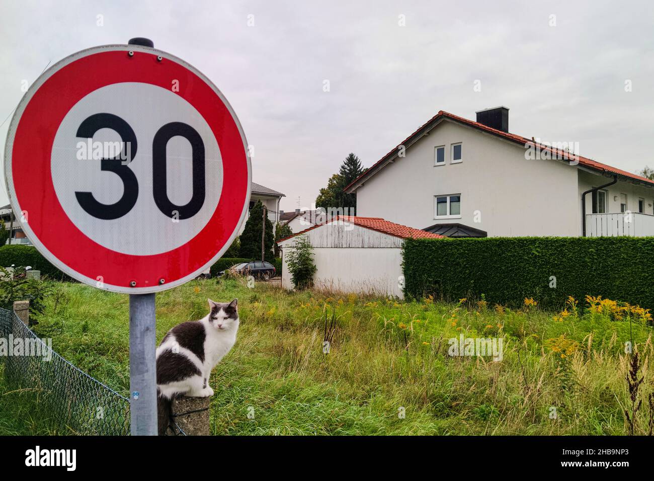 30 Km Speed Limit Sign High Resolution Stock Photography and Images - Alamy