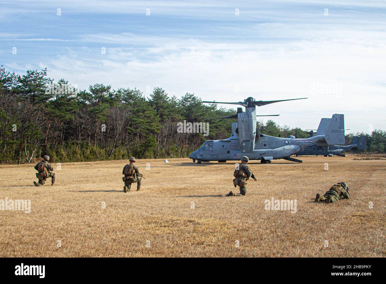 U.S. Marines with 2nd Battalion, 7th Marines secure a landing zone ...