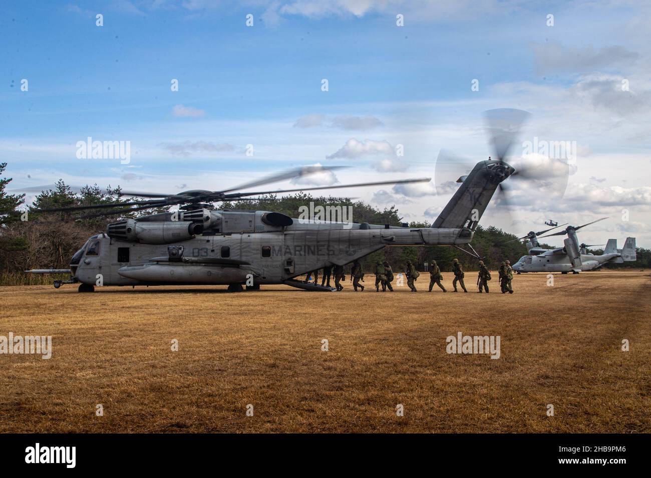 U.S. Marines with 2nd Battalion, 7th Marines and soldiers with the ...