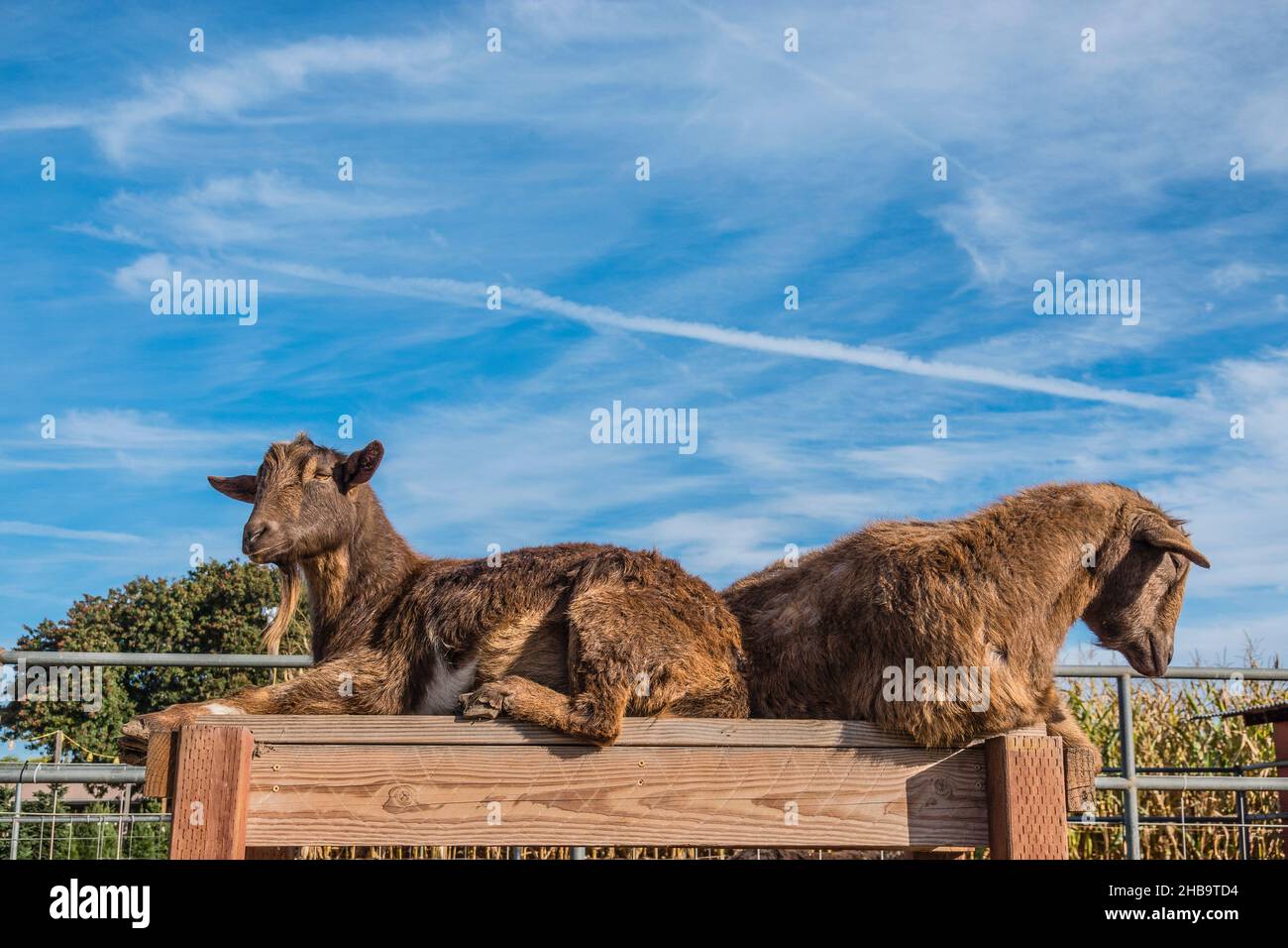 Lanes end farm hi-res stock photography and images - Alamy