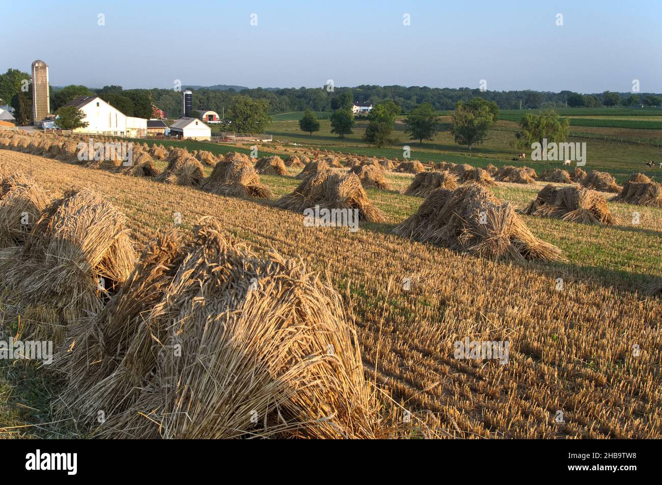 Amish farmstead hi-res stock photography and images - Alamy