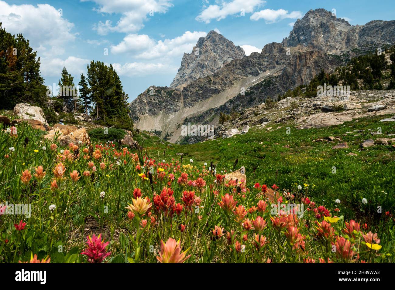 Orange Paintbrush Cover the Hillside Below Hurricane Pass along the ...