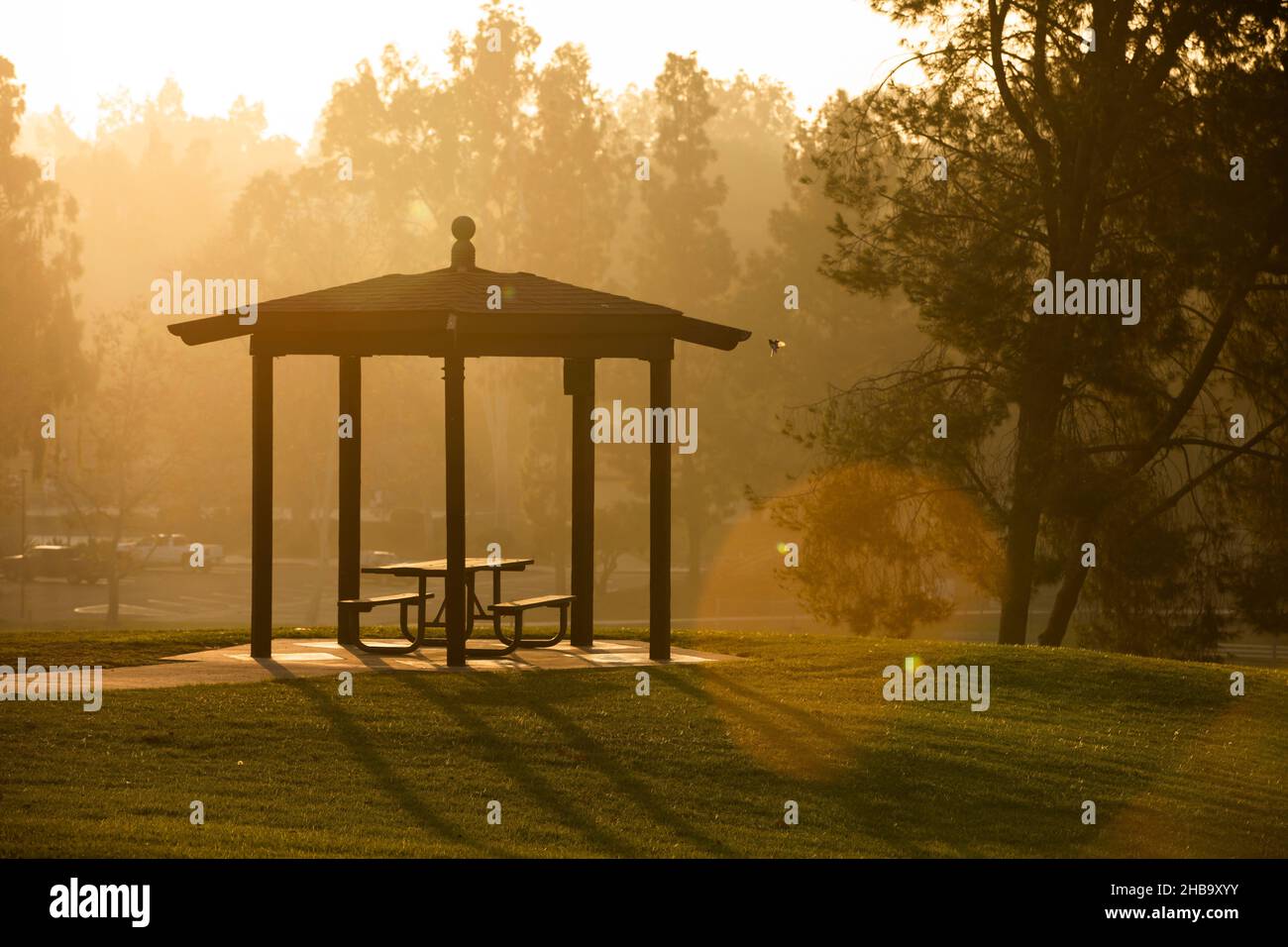 Sunset view of a public park in Fullerton, California, USA Stock Photo ...