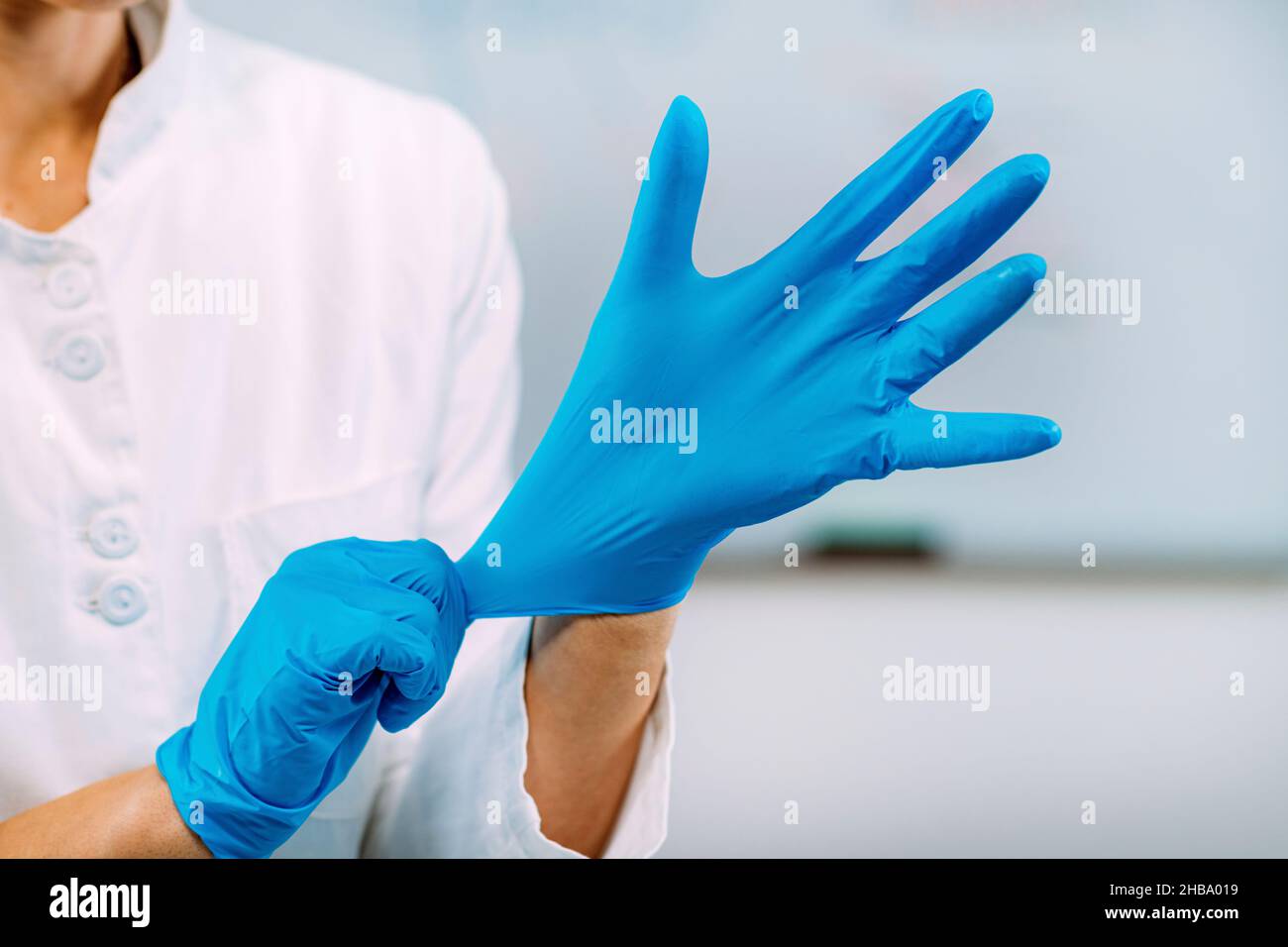 Lab technician putting on protective gloves Stock Photo - Alamy