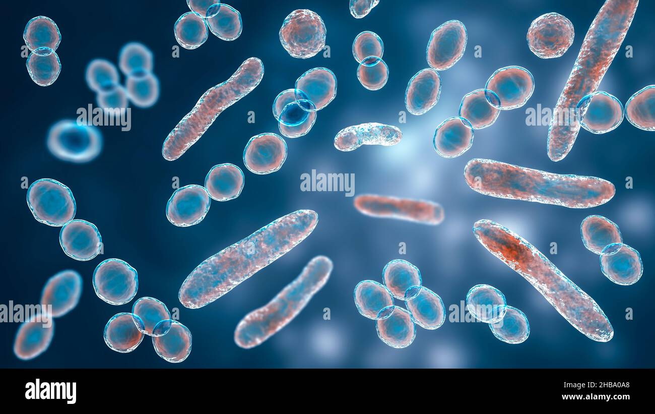 Computer illustration of bacteria of different shapes, including cocci ...