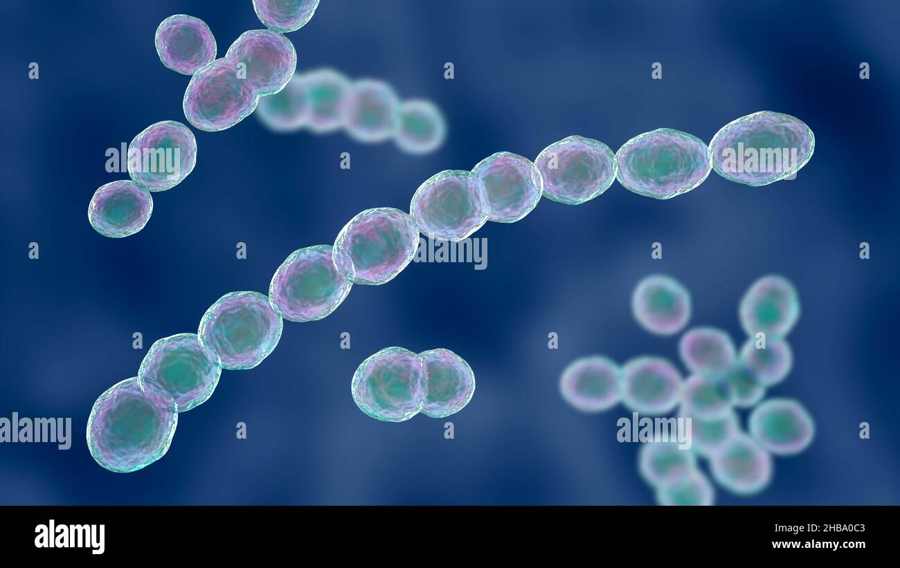 Heterotrophic bacteria hi-res stock photography and images - Alamy