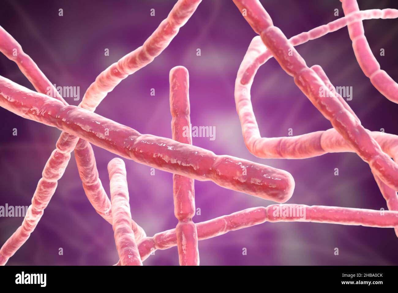 Nocardia brasiliensis bacteria hi-res stock photography and images - Alamy