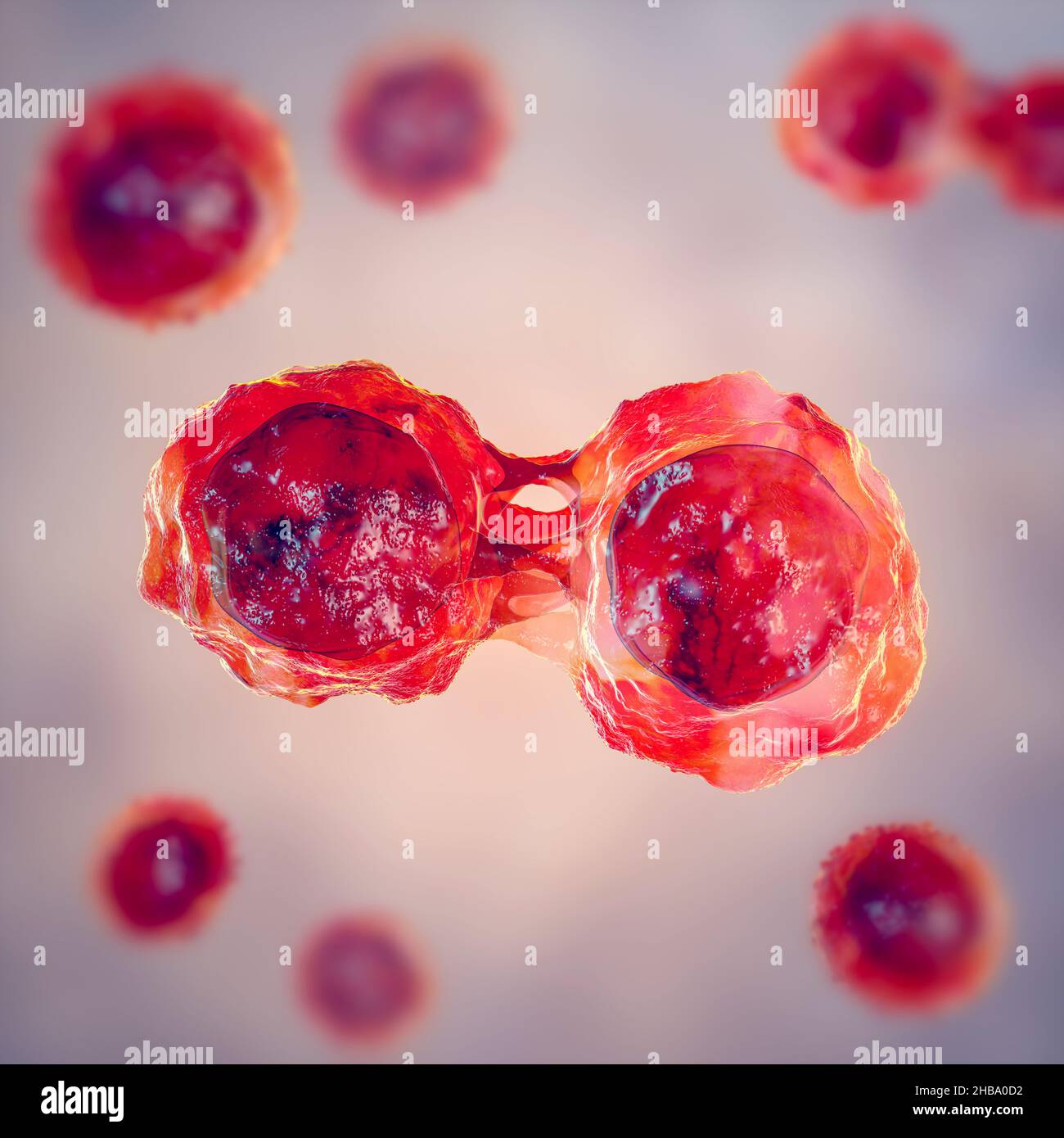 Human skin cell dividing hi-res stock photography and images - Alamy