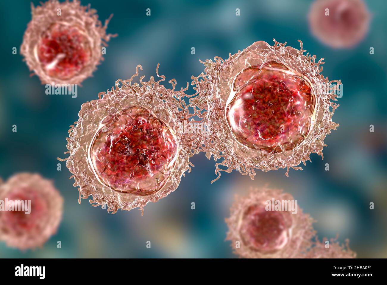 Cancer cells, illustration Stock Photo - Alamy