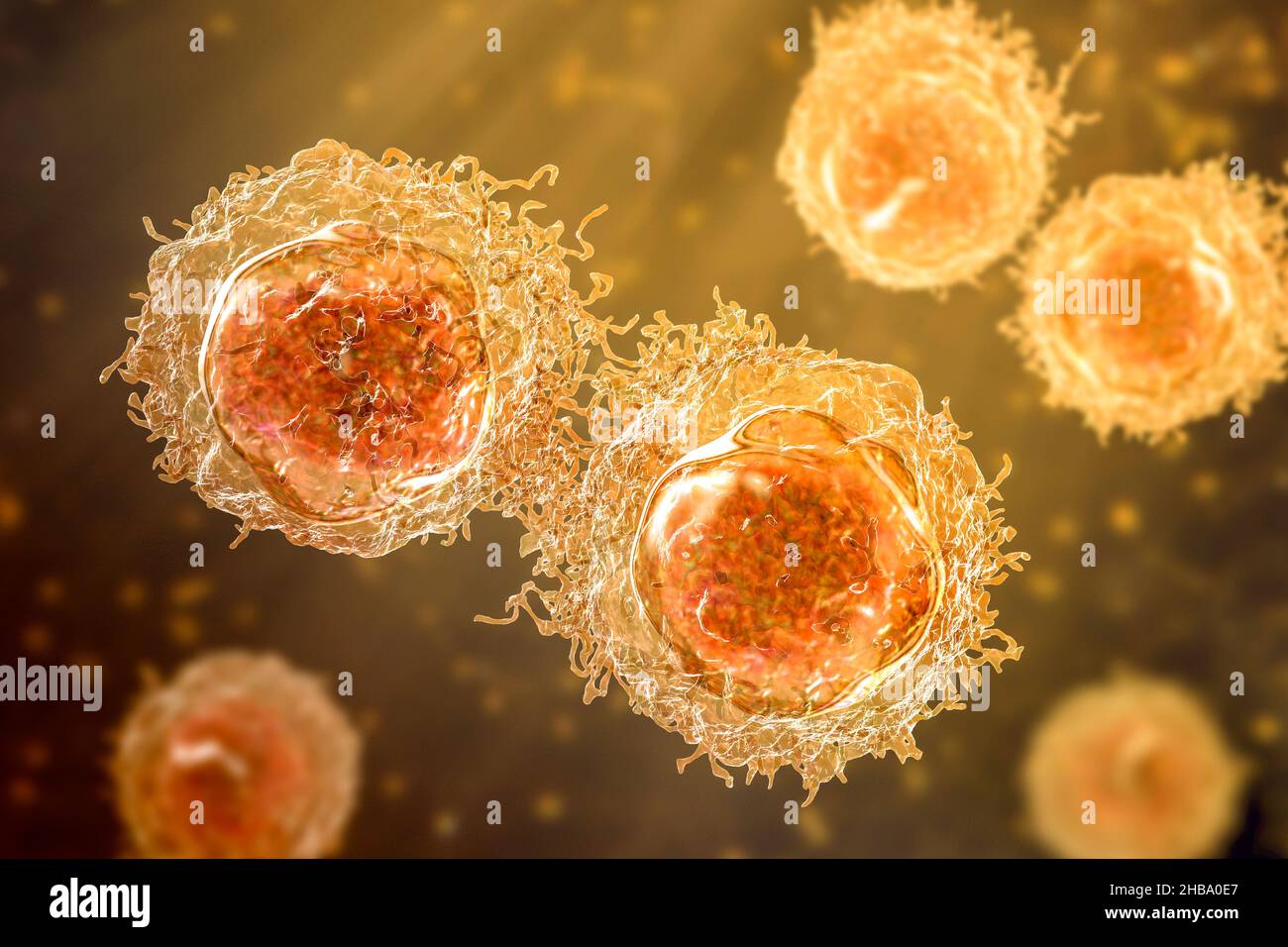Cancer cells, illustration Stock Photo - Alamy