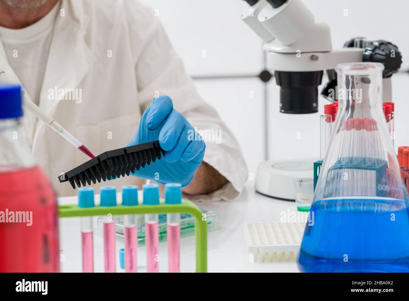 Scientist pipetting samples Stock Photo - Alamy