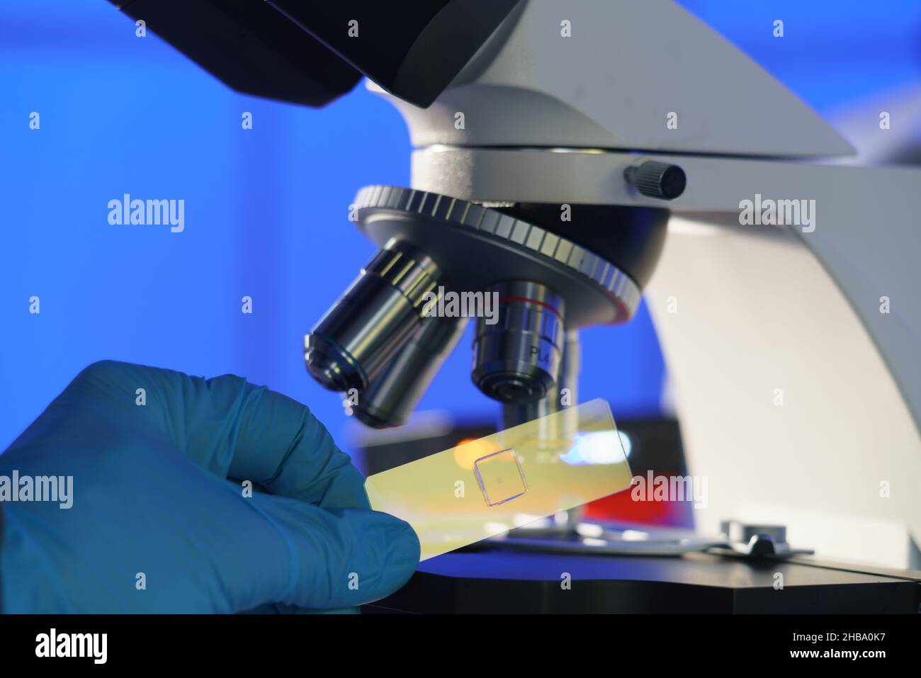 Researcher using a microscope Stock Photo - Alamy