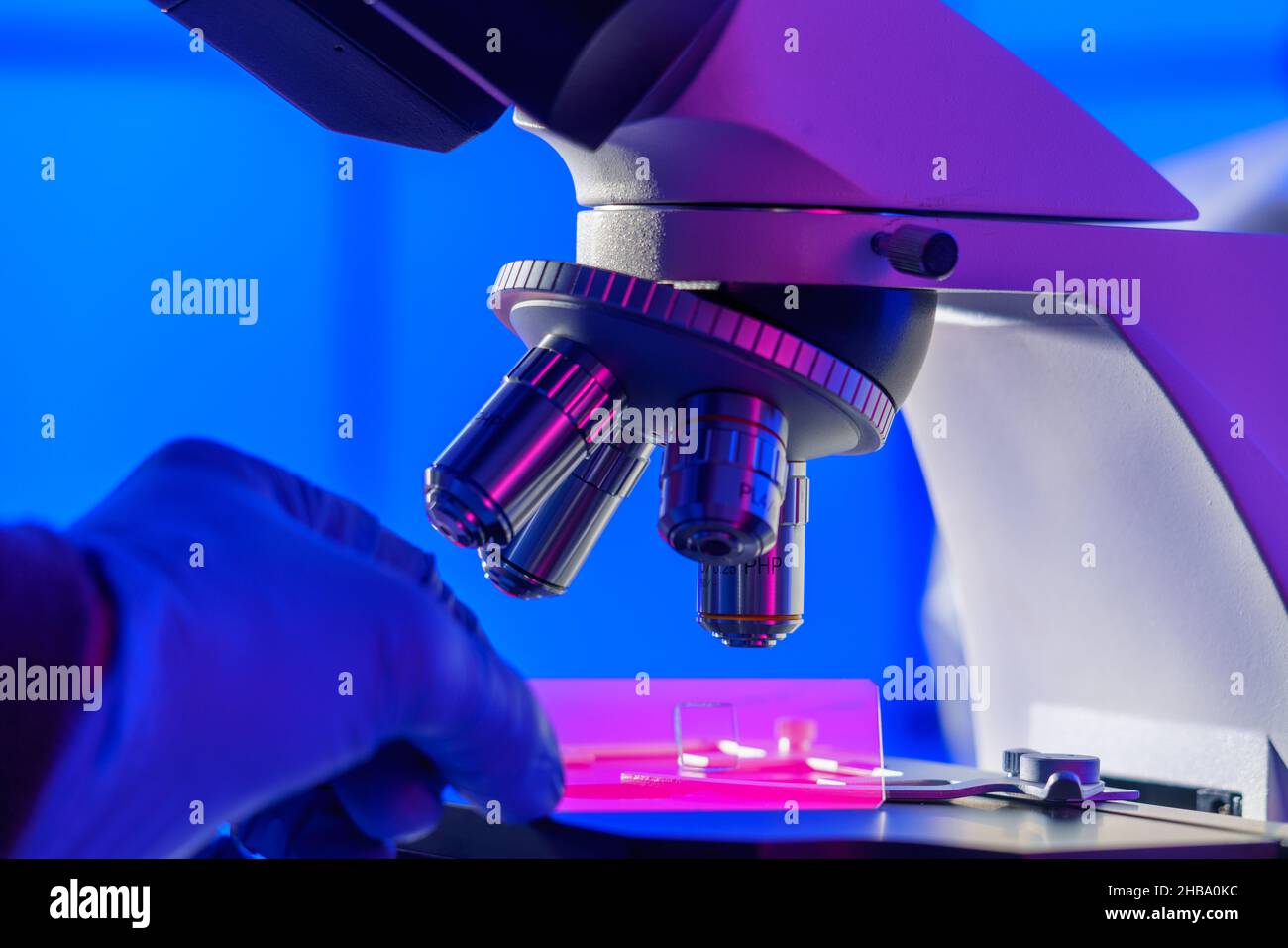 Researcher using a microscope Stock Photo - Alamy