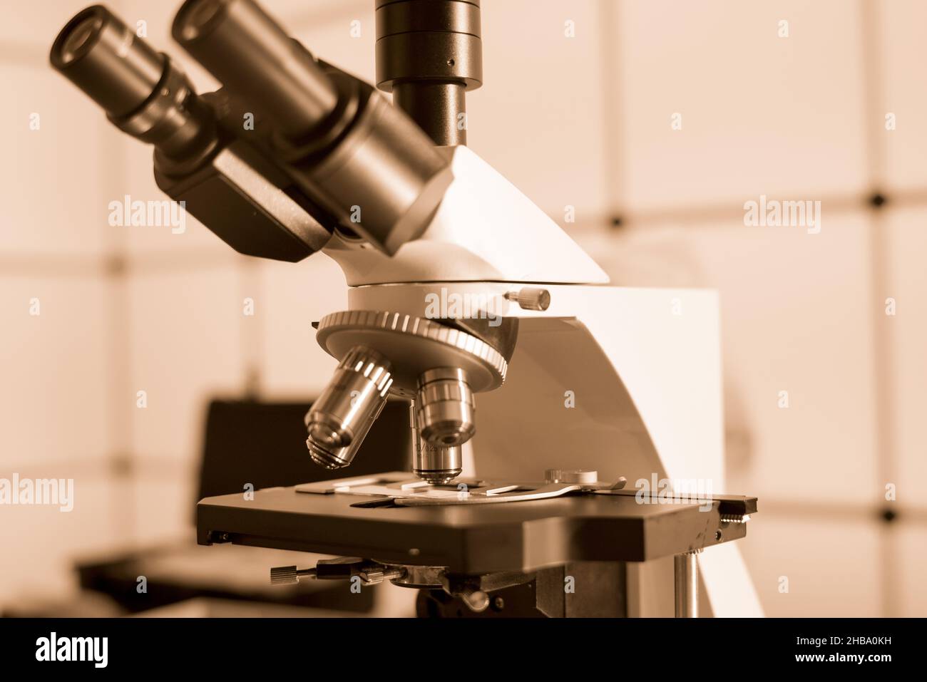 Trinocular microscope hi-res stock photography and images - Alamy