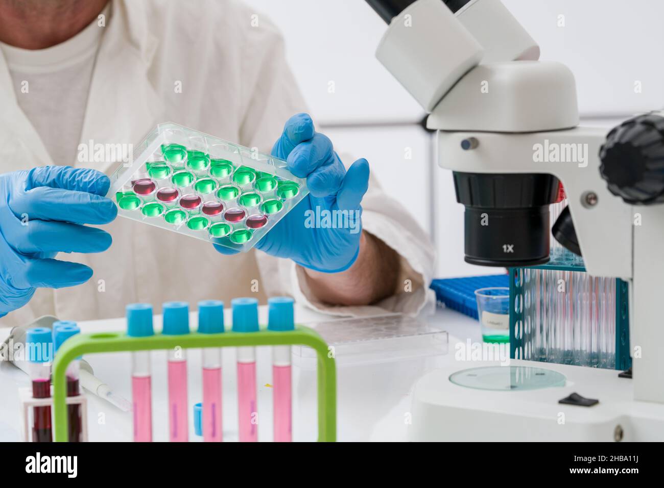 Scientist pipetting samples into a plate Stock Photo - Alamy