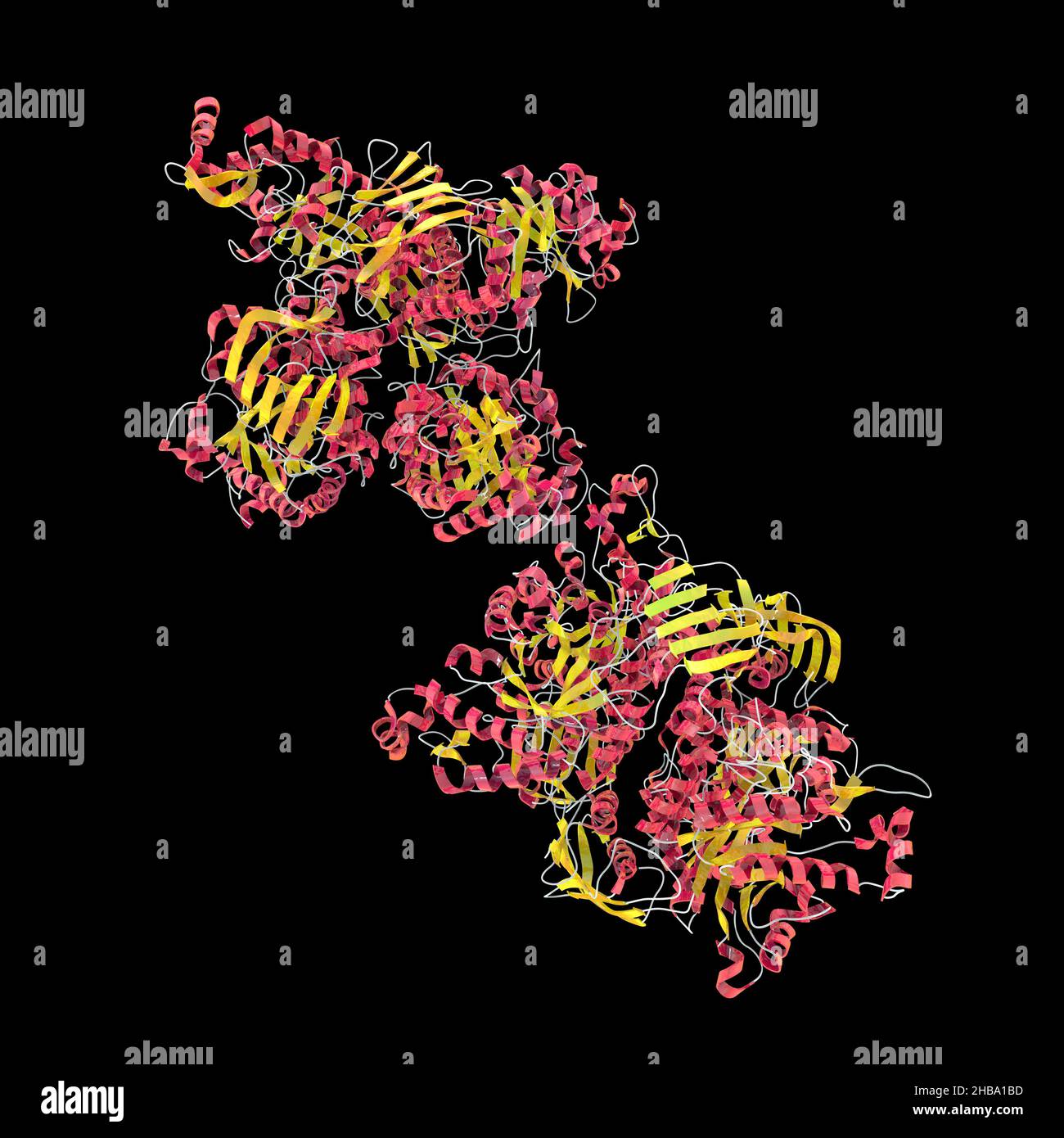 Lipid storage disorder hi-res stock photography and images - Alamy
