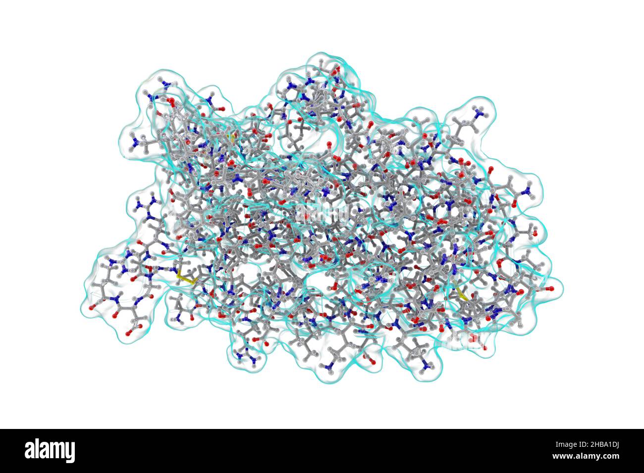 Erythropoietin (human EPO, epoetin) hormone. EPO stimulates the ...