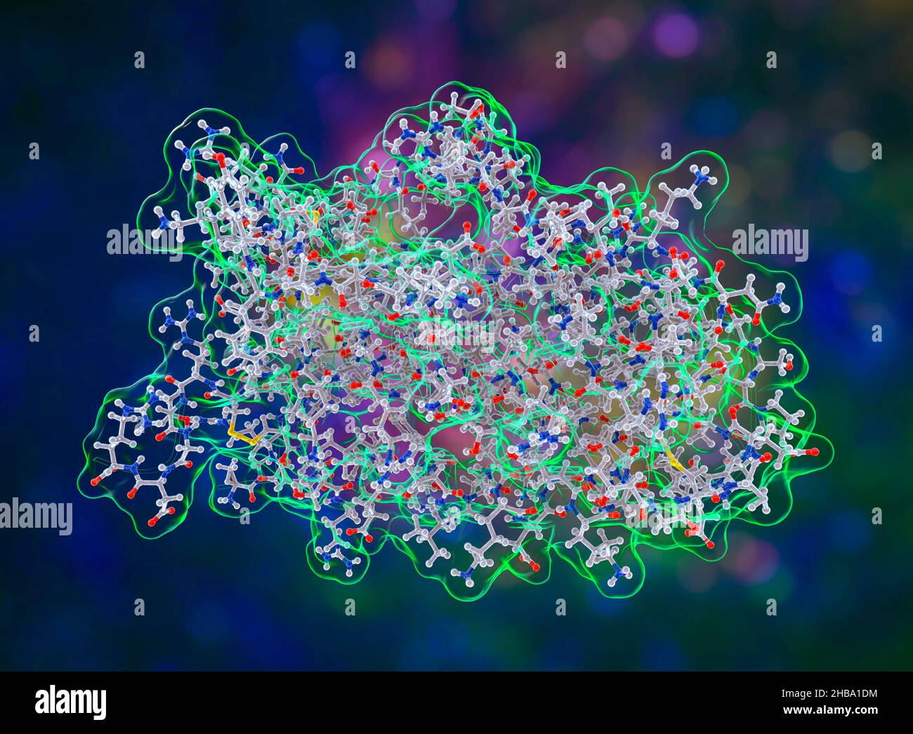 Erythropoietin (human EPO, epoetin) hormone. EPO stimulates the ...