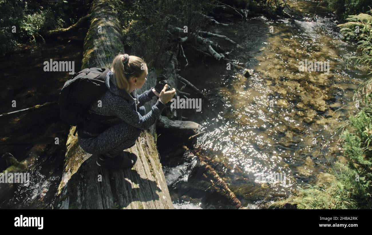 Traveler photographing scenic view in forest river. Wood bridge fallen ...