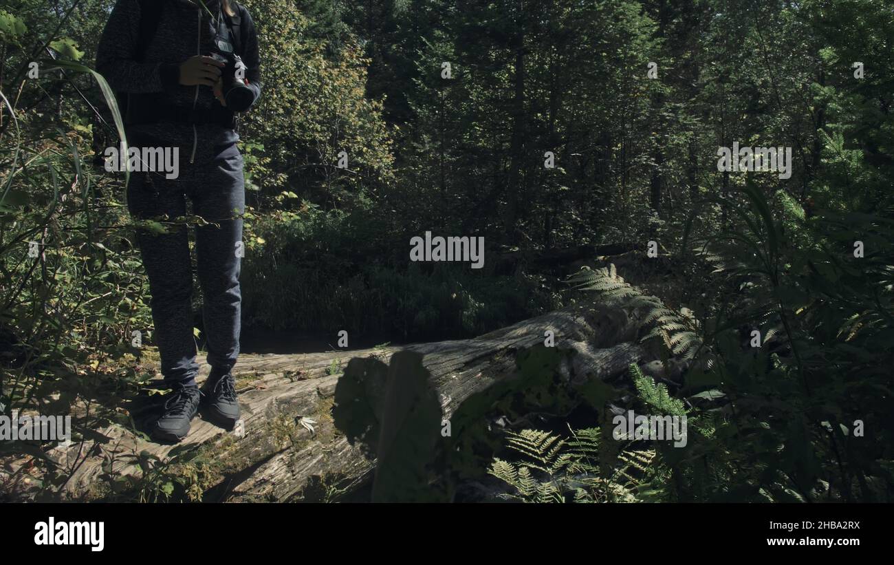 Traveler photographing scenic view in forest river. Wood bridge fallen ...