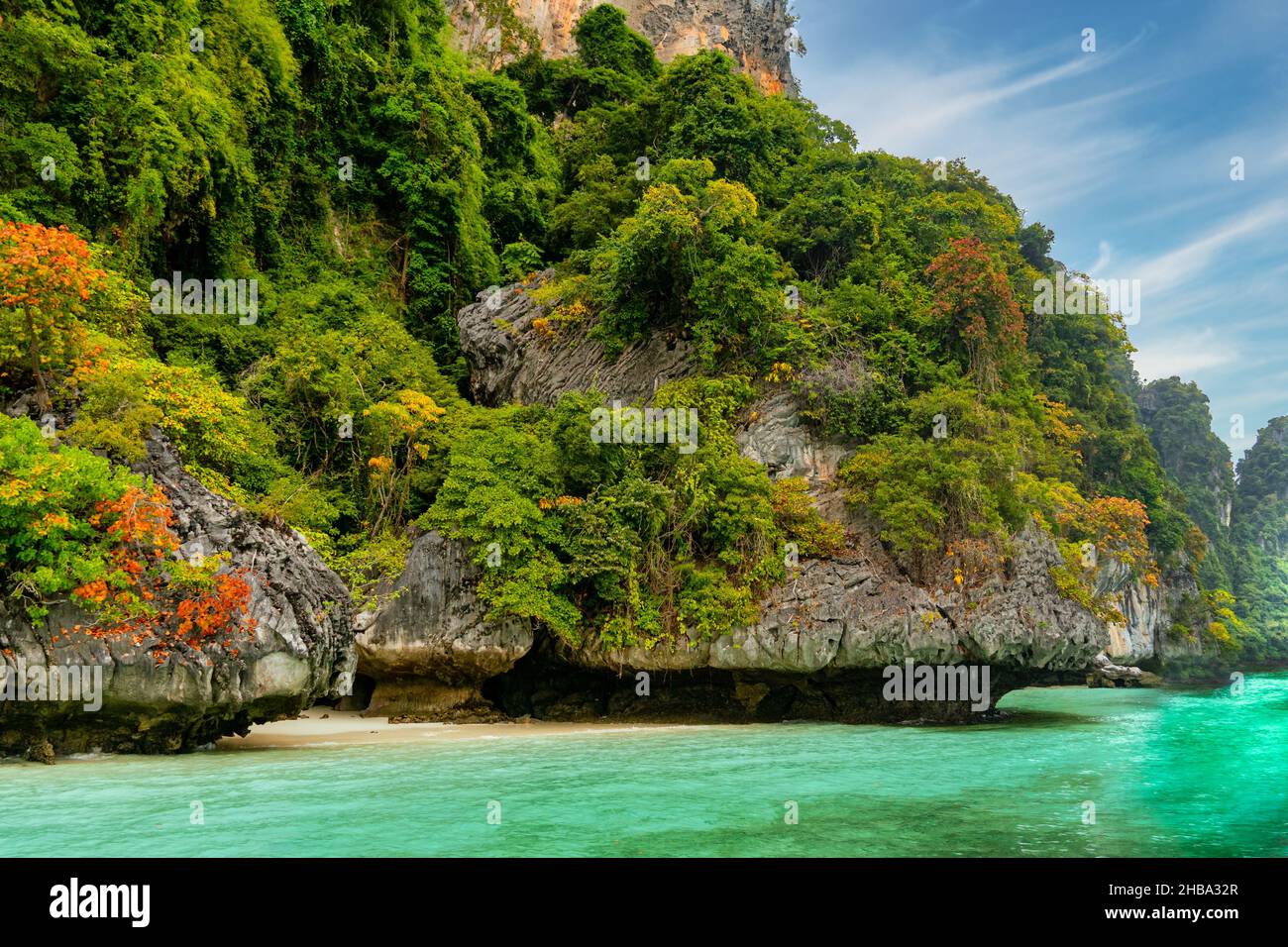 Ko Phi Phi's Limestone Cliffs with very colorful leaves Stock Photo - Alamy