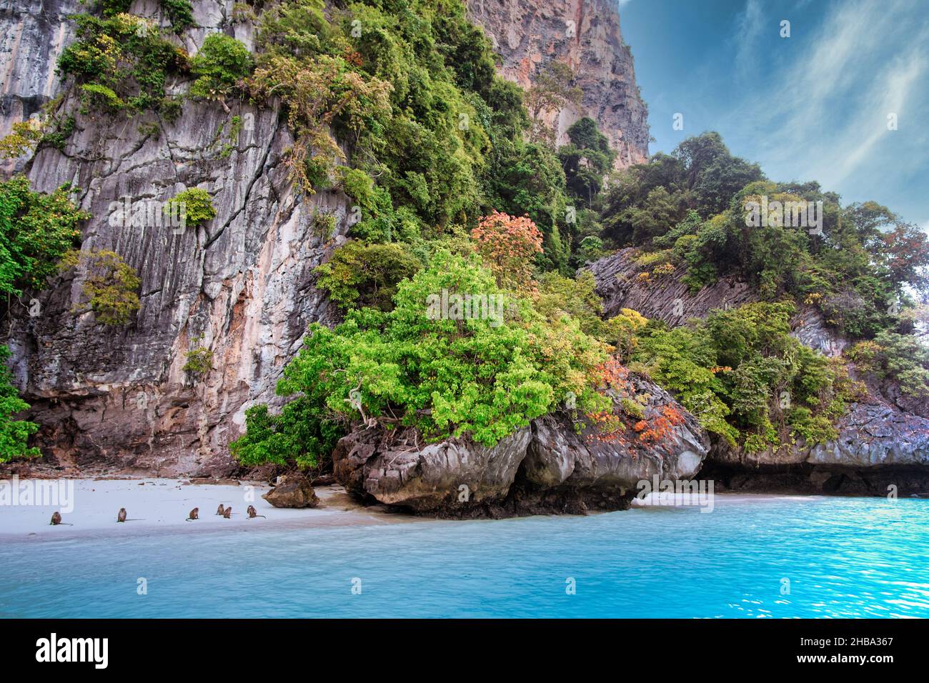 Ko Phi Phi's Limestone Cliffs with very colorful leaves Stock Photo - Alamy