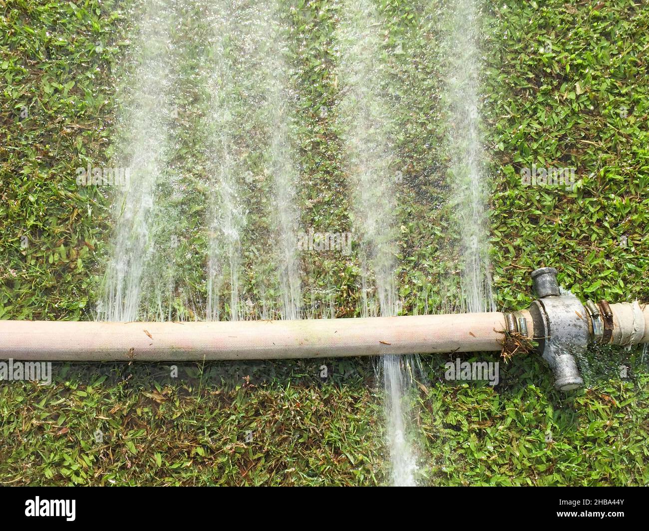 Leaking irrigation hose wasting water hi-res stock photography and ...