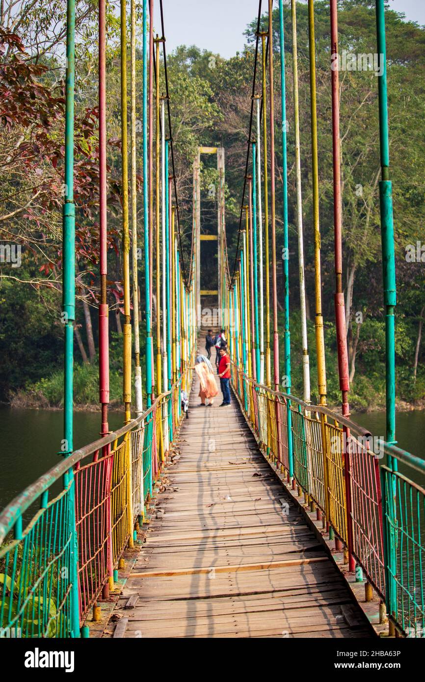 Forest rope bridge hike hi-res stock photography and images - Alamy