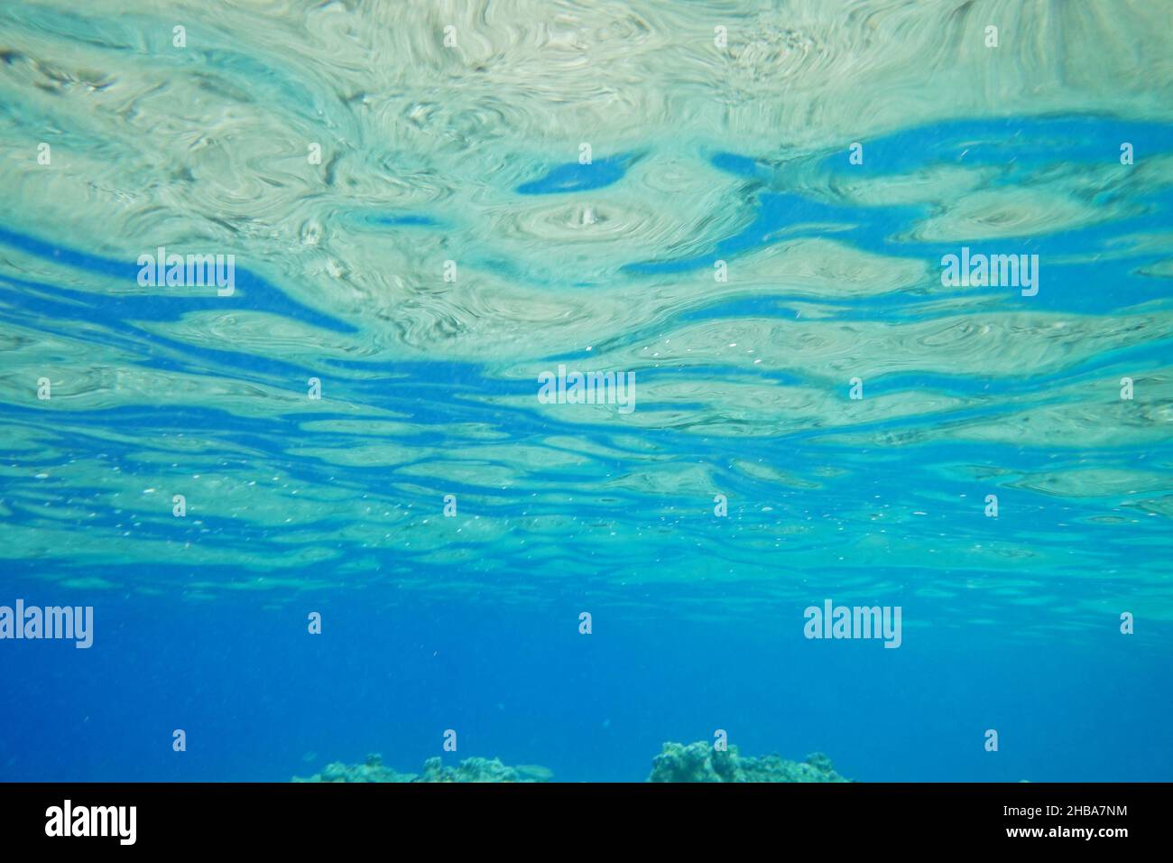 Beautiful underwater seascape, natural background Stock Photo - Alamy