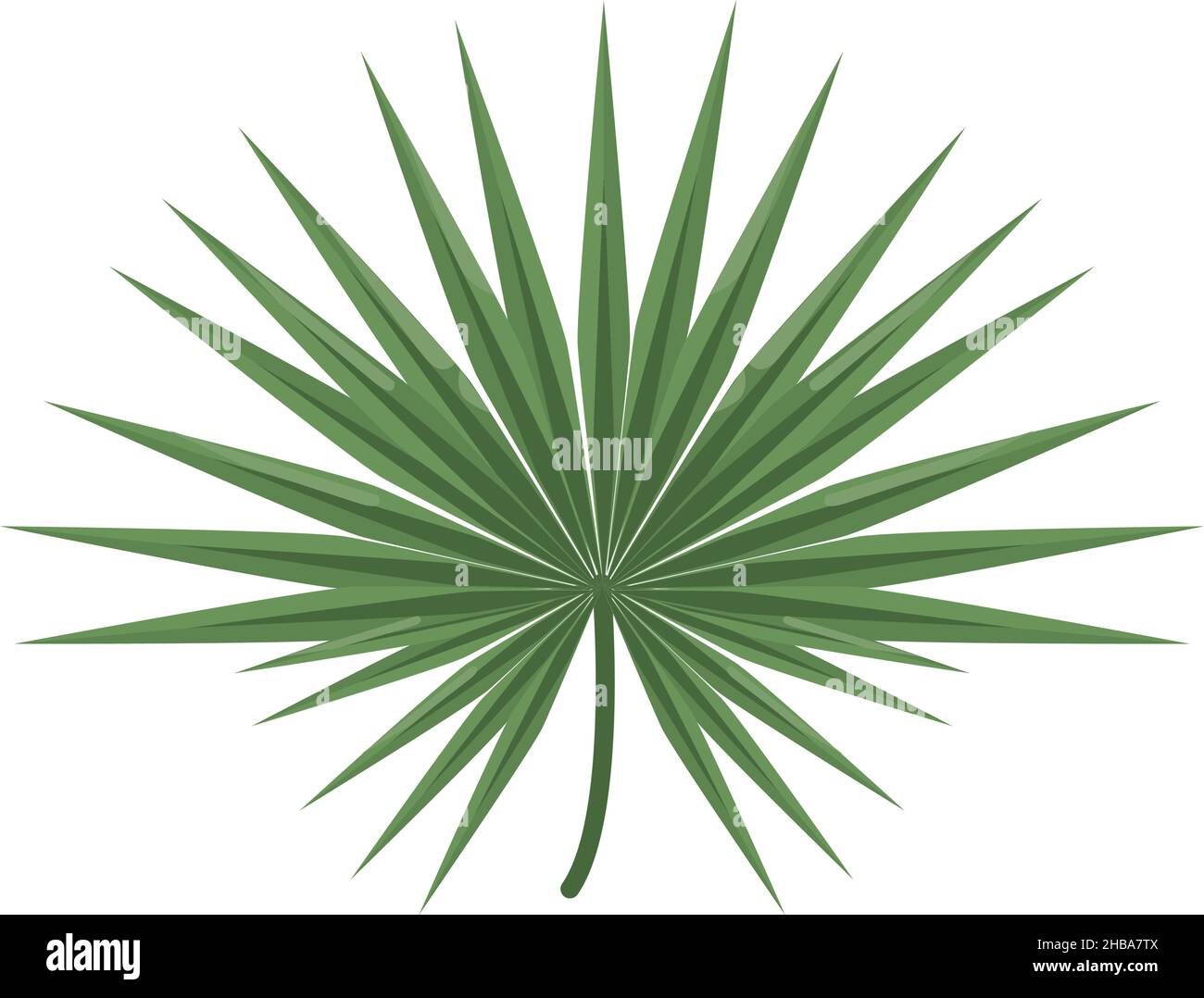 green exotic leave Stock Vector Image & Art - Alamy