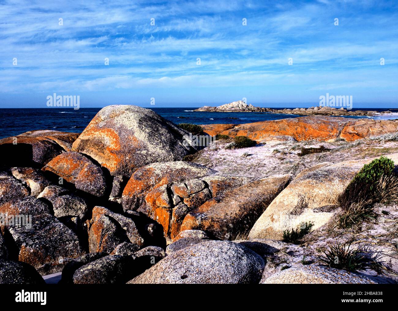 Stumpy bay hi-res stock photography and images - Alamy