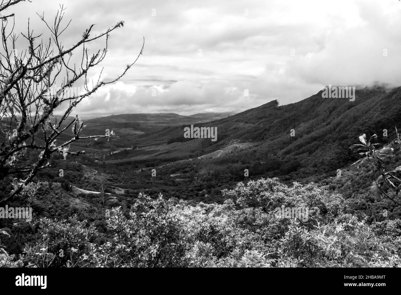 Black and white view of the forested slopes and fog shrouded peaks of ...